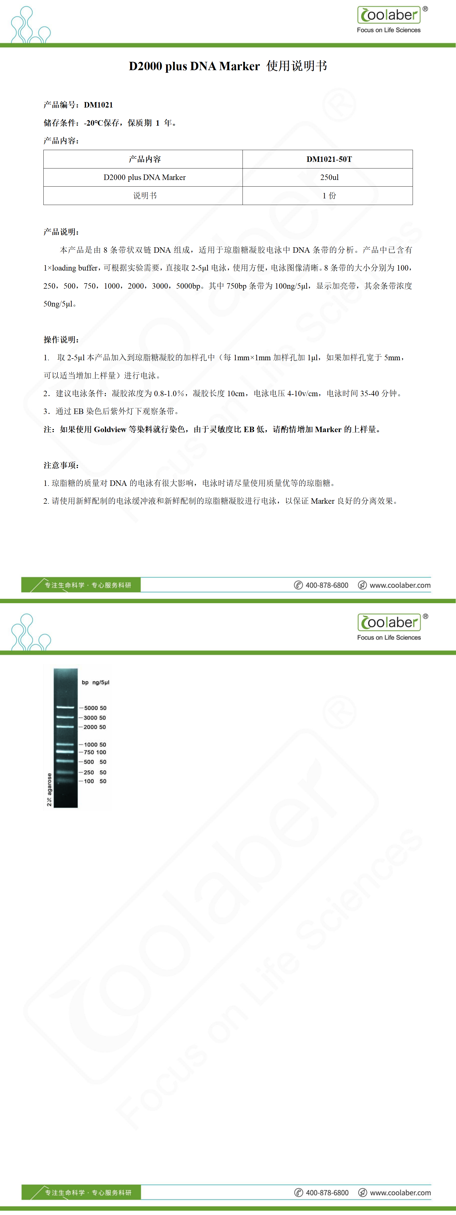 D2000 plus DNA Marker