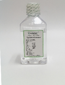 台式液/Tyrode's溶液（含有HEPES，不含钙，pH7.4）